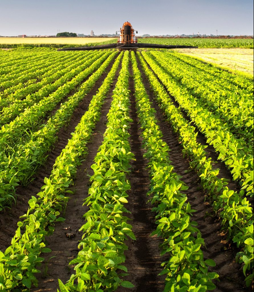 BoCo’s Silent Spring: Harmful Pesticides Found | thebouldermag.com